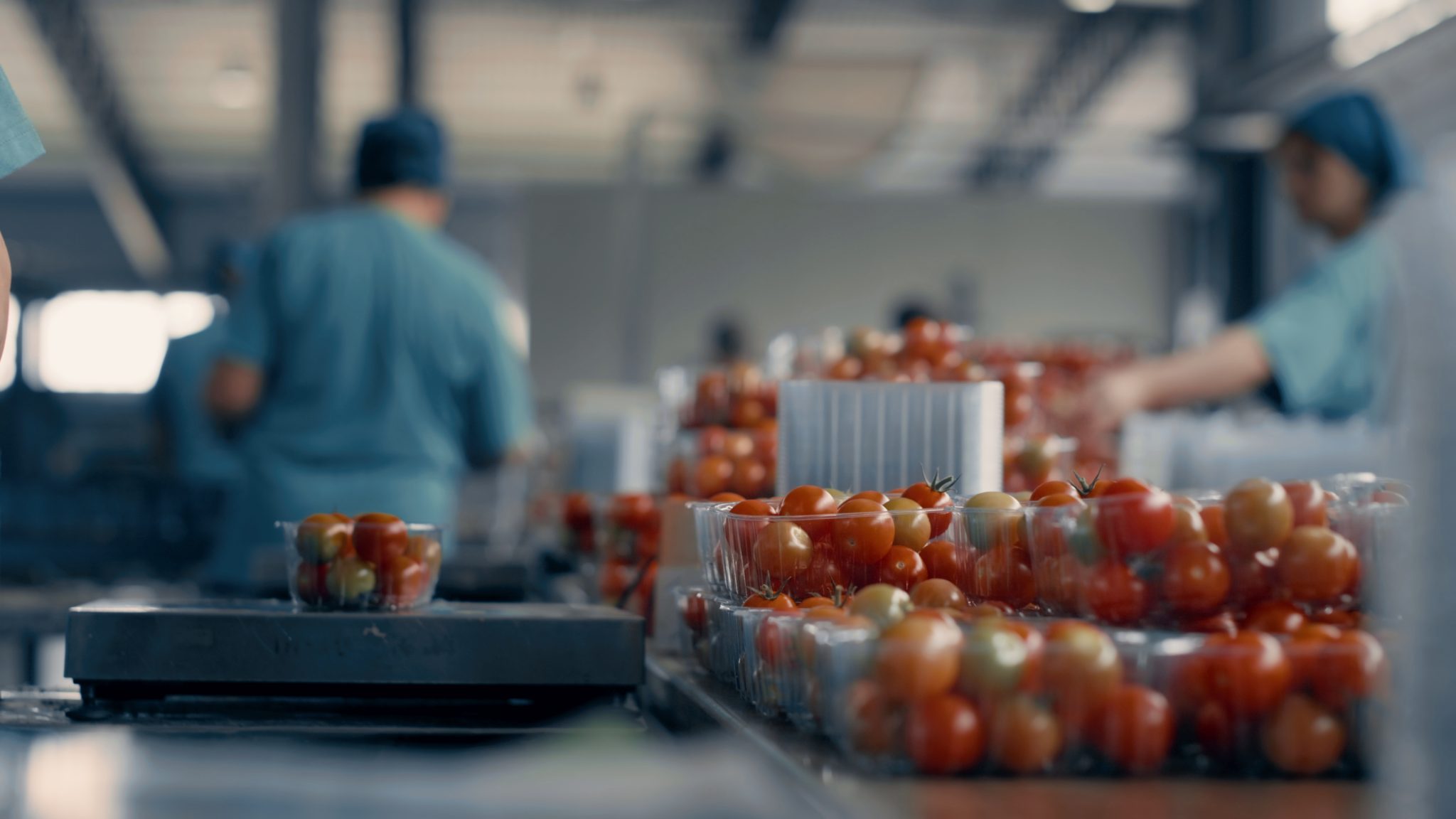 Wholesale Tomato Products | One Source Food Solutions